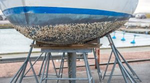 ¿Cuáles son las diferencias entre quilla y orza? | NauticXplorer